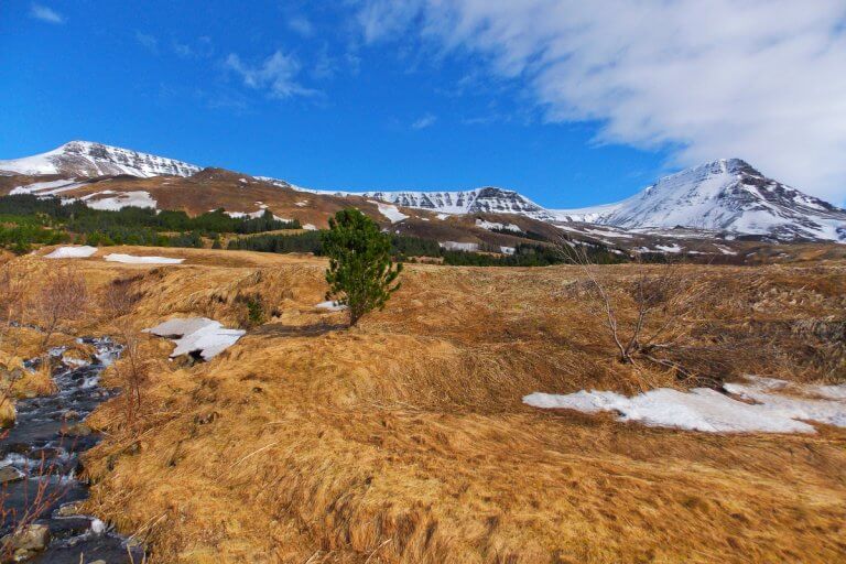 Mount Esja: Perfect for Reykjavik Hiking | I am Reykjavik